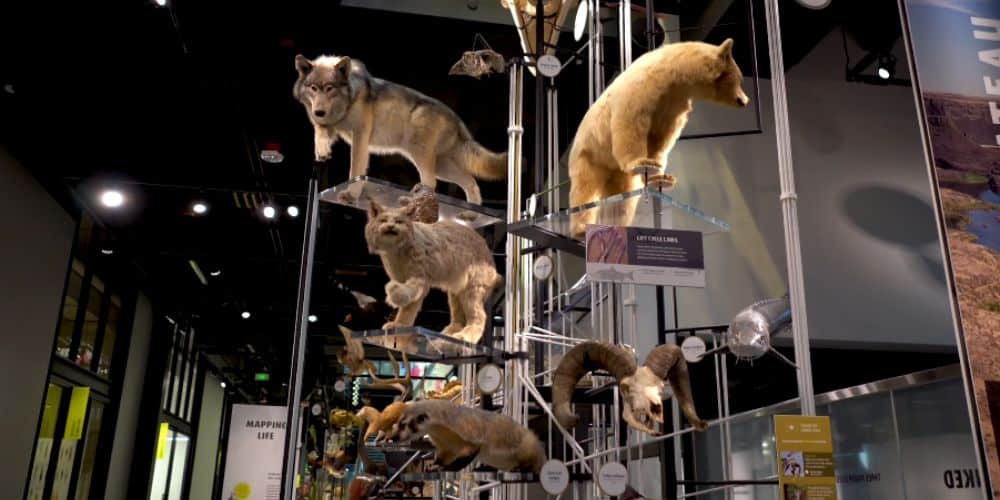 Seattle 360 Video Production Company - Free Consultations