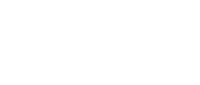 Bush Logo - MotionFX Studio